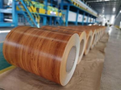 China Roofing material PPGI coil DX51D DX52D SGCC 0.3mm 1.0mm prepainted galvanized steel coil for sale