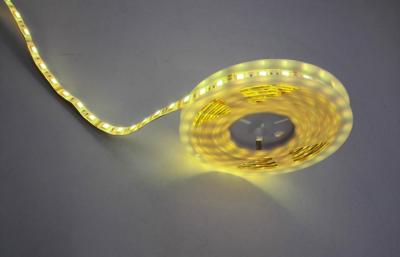 China Waterdichte RGB 60leds SMD5050 Geleide de Strooklichten van DC12V of van DC24V Te koop