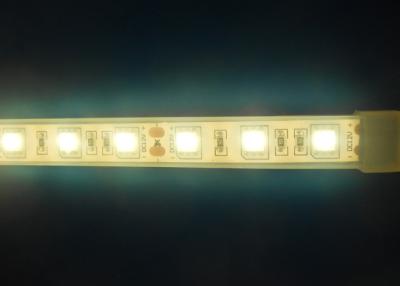 Cina luce di striscia 16-18lm 5050 del tubo 60leds/m del silicone 12V con 3M adhensive sul suo CE posteriore RoHS in vendita