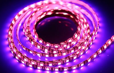Cina Luce di striscia impermeabile del PWB 5050 rosa LED del nero di colore 110lm/W 7pcs in vendita
