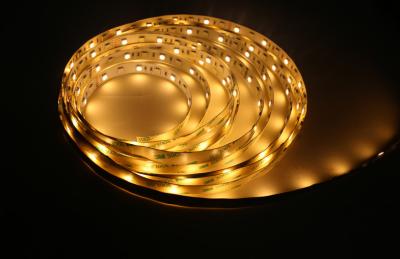 Cina 72 LED/m. il Rgb dell'interno 5050 hanno condotto la proiezione del fascio delle strisce principale lampade fluorescenti 12v 120º in vendita