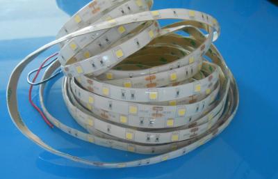 Cina Luce di striscia impermeabile dei 10 tester/rotolo LED SanAn Epistar usato dentro in vendita
