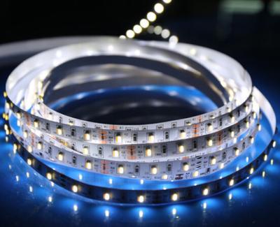 Cina 60leds/portatile due di m. colorano la luce di striscia del LED, colore che cambia la striscia principale luminosa eccellente 12v fuori in vendita