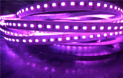 Cina La luce di striscia di colore 3535 SMD LED di DC24V rgb, casa di larghezza di 12mm ha condotto l'alto potere di illuminazione di striscia in vendita