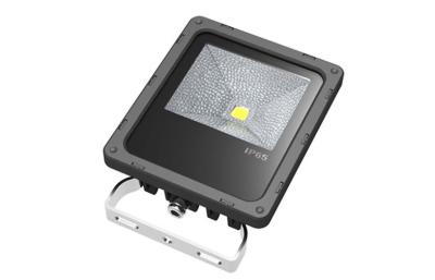 Cina il proiettore all'aperto IP65 di 110V 10W LED impermeabilizza la luce del progetto con CE RoHS in vendita