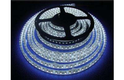 Cina Impermeabilizzi la luce di striscia di 3528 SMD LED, il rosso di DC12V, il giallo, il blu, strisce flessibili di verde LED in vendita