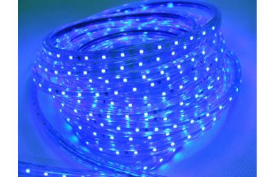 Cina Strisce flessibili delle strisce/IP67 60leds/m AC110/220V LED di SMD3528 LED nel colore blu in vendita