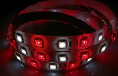 Cina Luce di striscia flessibile di 5050 SMD LED, alta luminosità 60leds/m IP65/IP67/IP20 nel colore di RGBW in vendita