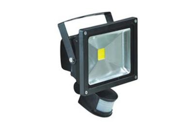 Cina 20 la luce di inondazione ultra luminosa di watt PIR LED, IP65 impermeabilizza il proiettore con CE RoHS in vendita