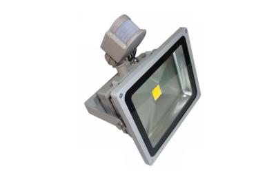 Cina CE impermeabile di raduno di alta luminosità della luce di inondazione di 50W LED 5000lm & ROHS in vendita