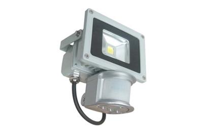Cina L'alto potere 1000lm 10W impermeabilizza la luce di inondazione di PIR LED per l'hotel in vendita