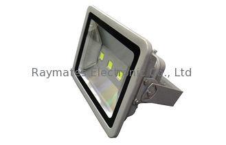 Cina 230V 80W IP65 impermeabilizzano la luce di inondazione del LED ampiamente per le pareti, stadio in vendita
