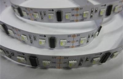 Cina Quattro colori in una luce di striscia del chip SMD LED di SMD, 5050 lampade fluorescenti di 60led/M IP20 RGBX IC in vendita