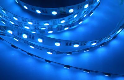 Cina La CC 12v/24v di RGBW principale spoglia la garanzia di 60leds/m 3 anni per dell'interno in vendita