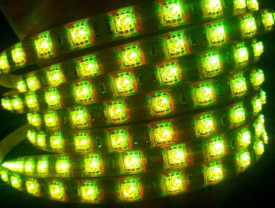 Cina Angolo d'apertura eccellente trasparente Brightness160 della luce di striscia del chip SMD5050 RGB in vendita