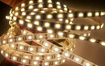 Cina Luce di striscia trasparente del chip SMD LED di DC12V 4000K angelo di vista di 180 gradi in vendita