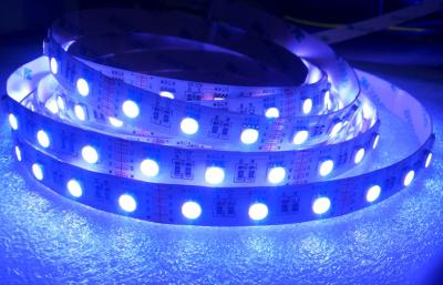 Cina Luce di striscia di DC12V RGBW 5050 SMD LED con quattro colori in un chip 28.8W/M in vendita