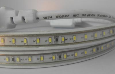 Cina Nessun adattatore AC110V resistente all'acqua SMD3014 ha condotto il raduno della luce di striscia 3 anni di garanzia in vendita