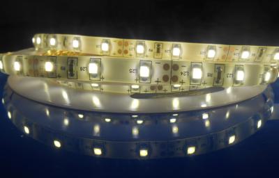 Cina DC12V IP65 impermeabilizzano SMD3528 l'alto raduno CE&ROHS della striscia di Istruzione Autodidattica LED in vendita