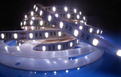 Cina L'alta striscia decorativa/SMD 5630 rgb di Istruzione Autodidattica LED ha condotto la striscia leggera per l'annuncio pubblicitario in vendita