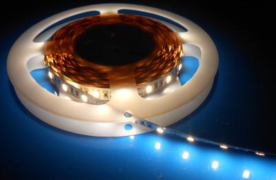 Cina Luce di striscia calda di Istruzione Autodidattica di bianco 2800k 95 per le case, luce di striscia flessibile principale in vendita