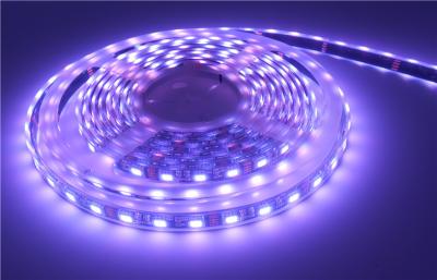 Cina La luce di striscia all'aperto di RGB LED IP65 impermeabilizza, lampade fluorescenti principali dimmable in vendita