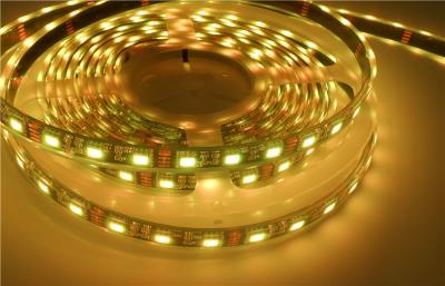 Cina Luce di striscia di DC12V RGB SMD LED per la casa, striscia di Dimmable SMD 5050 LED in vendita