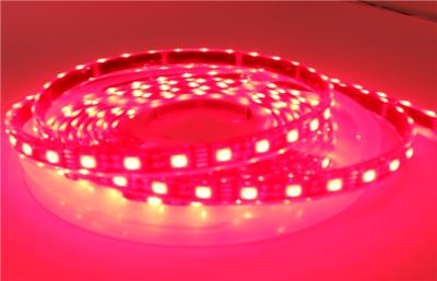 Cina IP67 impermeabilizzano angolo d'apertura nero di CC 12V della striscia del PWB RGB di SMD 5050 il più ampio in vendita