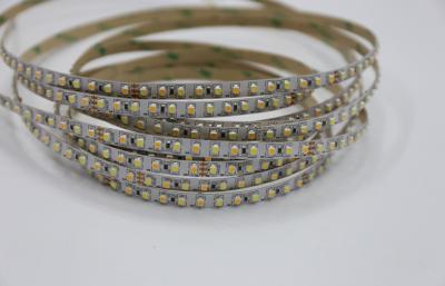Cina Striscia regolabile DC12V o 24V di SMD 3528 LED per la decorazione domestica in vendita