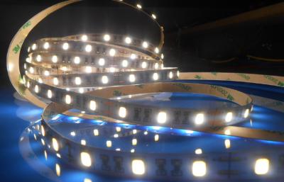 Cina Luce di striscia flessibile di SMD LED, illuminazione di striscia esteriore del LED IP20 in vendita