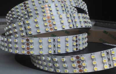 Cina Il bianco caldo 3 della luce di striscia di IP20 SMD LED allinea 360leds 24V SMD3528 luminoso eccellente in vendita