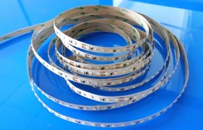 Cina Luce di striscia 24V/di DC12V SMD LED 3 anni della garanzia di luce decorativa della casa in vendita