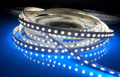 Cina Bianco freddo 24W/m. della luce di striscia di SMD 2835 SMD LED 3 anni di garanzia in vendita