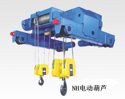 China China Model NH electric hoist -foot-mounted hoist (4/1Rope reeving) for sale