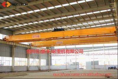 China Best Quality European Style Double Girder Bridge Crane for sale