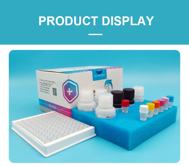 Test kit components layout