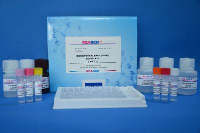 China Plasmid DNA Kanamycin Fine Test Elisa Kit High Repetitive 90% Accuracy for sale