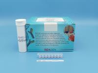 China Cow Milk Testing Lateral Flow Test Kit BT Combo Strip Test Strong Sensitivity for sale