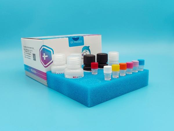 96 Test Melamine ELISA Test Kit With Low Cross-Reactivity For Animal Health