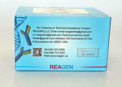 중국 강한 감수성 데ξα메타손 ELISA 테스트 키트 2 - 8°C 연구용 보관 판매용