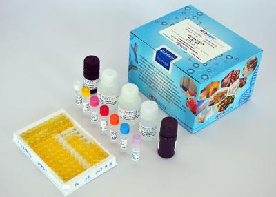 China Melamine ELISA Test Kit , competitive enzyme immunoassay , rapidand cost-effective extraction methods for sale