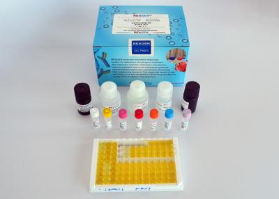 중국 클로르테트라사이클린 ELISA 약물 잔류 검사 키트 경쟁 효소 면역 검사 판매용