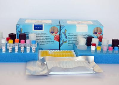 中国 オフロキサシン ELISA テストキット,無料のサンプルを提供, 2-8度に保管, 96テスト 販売のため