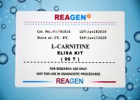 China High Sensitive L-Carnitine Colorimetric Assay Kit Milk Powder Testing Kit for sale