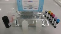 China ELISA Test Kit Powerful Neurotoxin For Fish Sampling Tetrodotoxin for sale