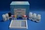 China Plasmid Detection Kanamycin Fine Test Elisa Kit high repetitive for sale