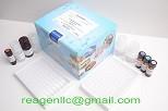 China Plasmid Detection Kanamycin Fine Test Elisa Kit high repetitive for sale