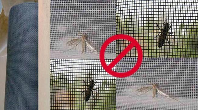 Schermo d'acciaio dell'insetto della prova 20X20 18X18 16X16 Mesh Window Screen Mesh Stainless della ruggine