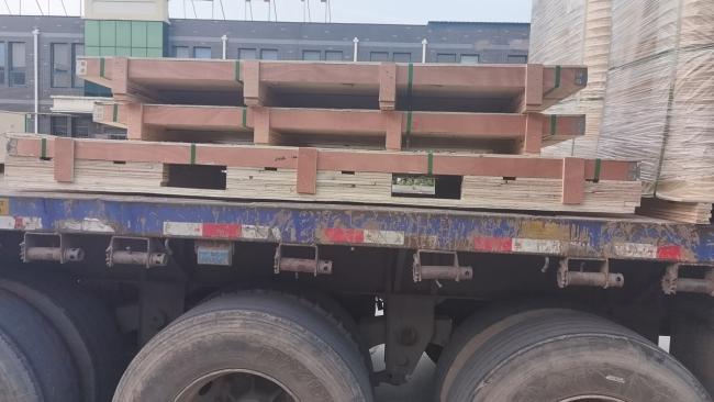 security insect screen