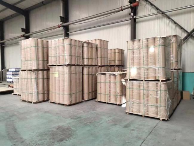 security insect screen